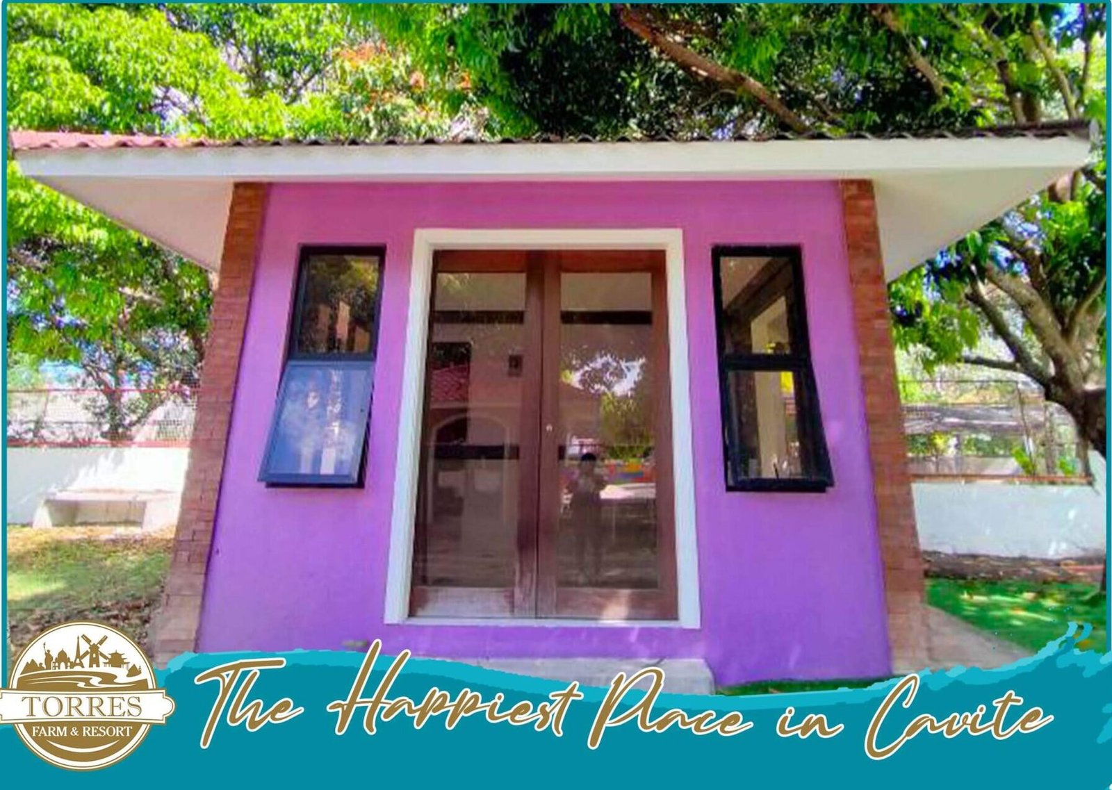 Malaysia Violet - Torres Farm